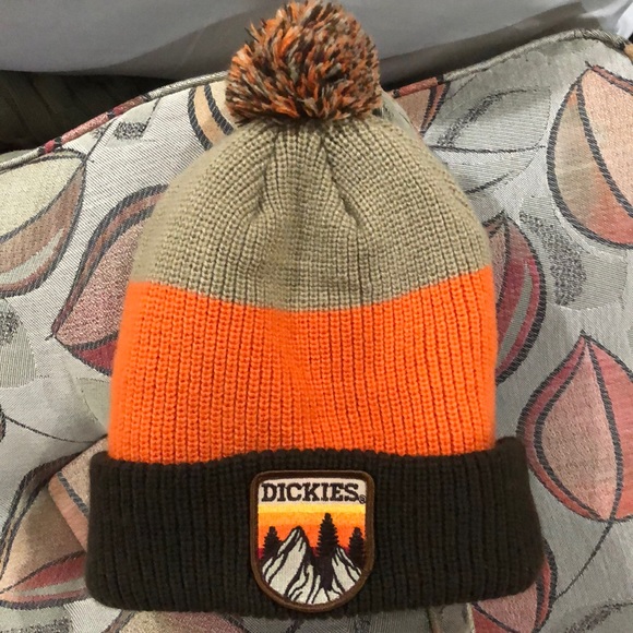 Dickies | Accessories | Rare Dickies Beanie Mountains Orange And Brown ...